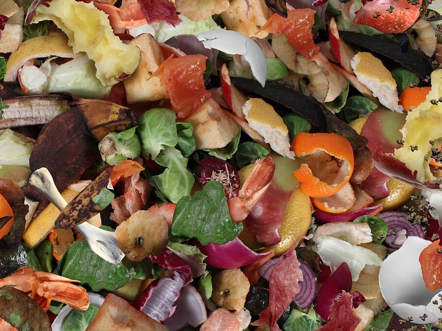 Voedingsafval sorteren doe je met The Organic Switch - Vanheede